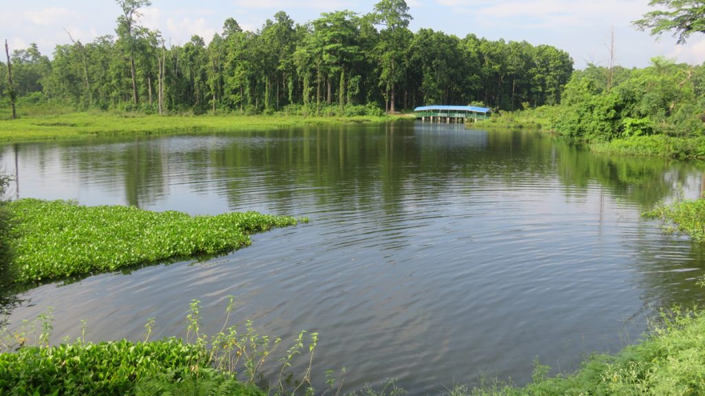 Betana Simsar-Land Nepal
