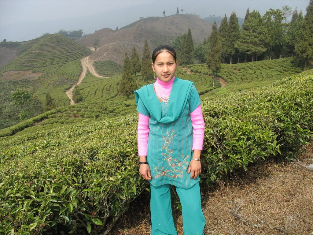 Panitar Tea State Ilam