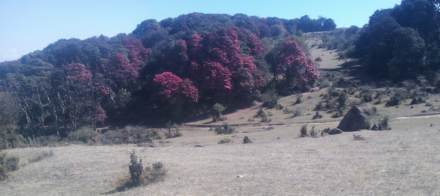 Basantapur Terhathum – Land Nepal