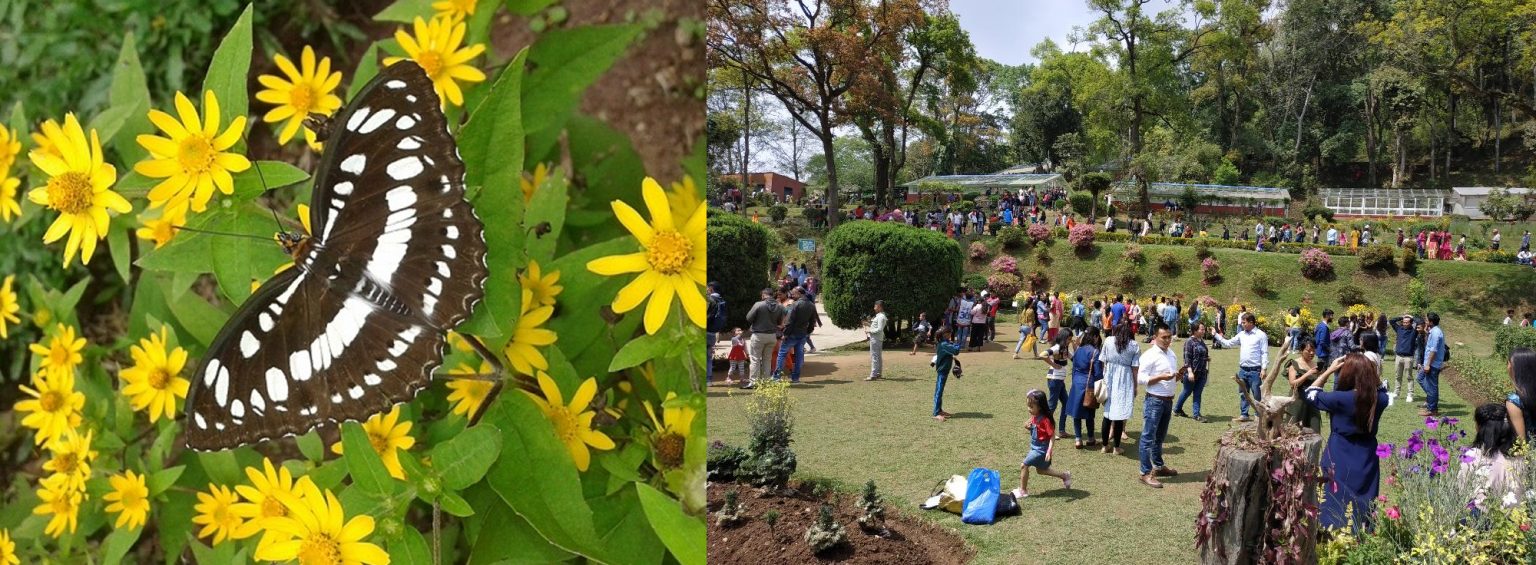 Godavari Botanical Garden - Land Nepal
